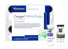 VACUNA CANIGEN MHA2 PUPPY – COL Mellow for Pets